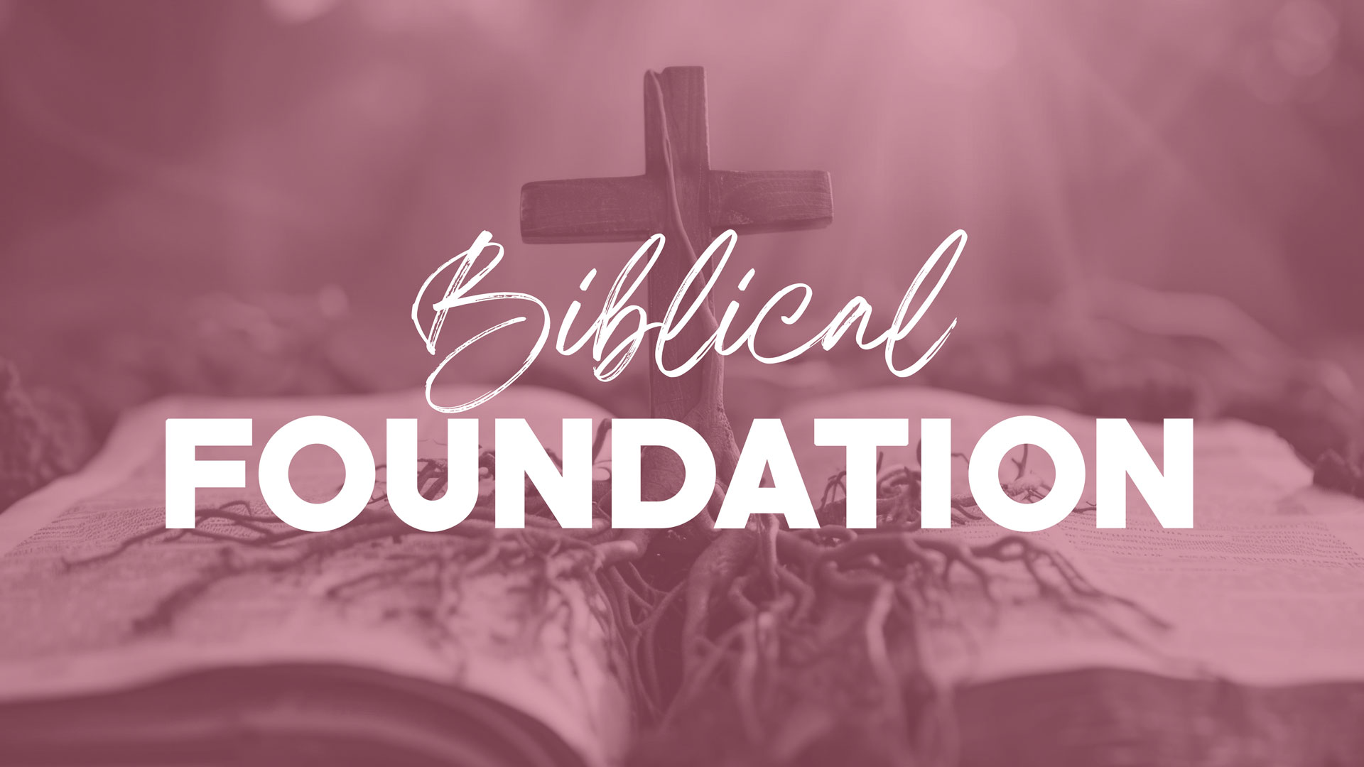 Women's Bible Studies - Deeper Roots | Cornerstone Church